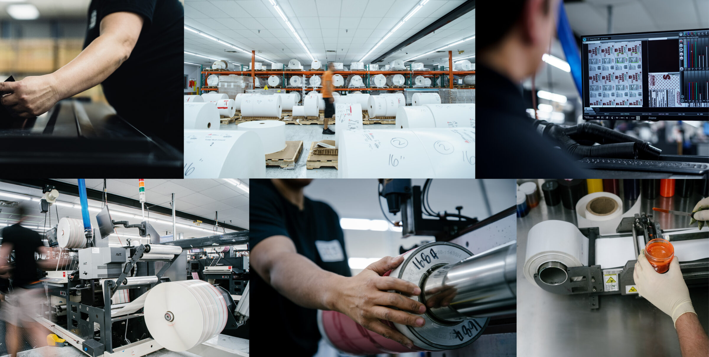 Catapult - Creative Spark