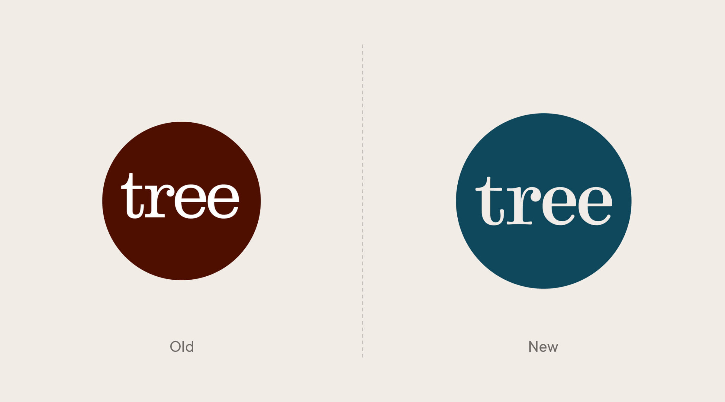 Tree Accountancy - Creative Spark