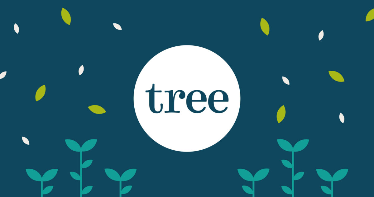 Tree Accountancy - Creative Spark