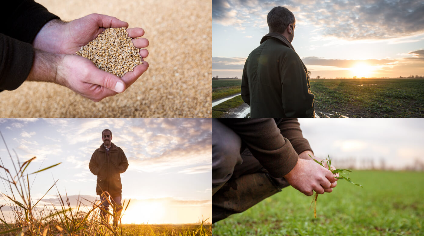 Farmcare - Creative Spark