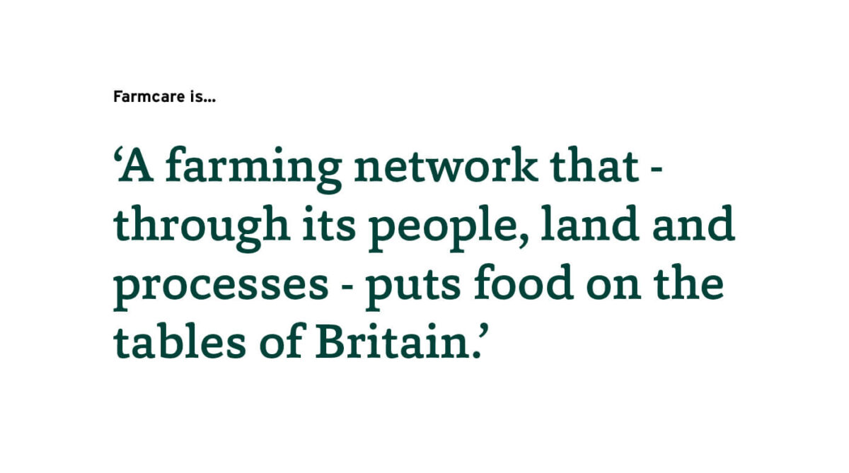 Farmcare - Creative Spark