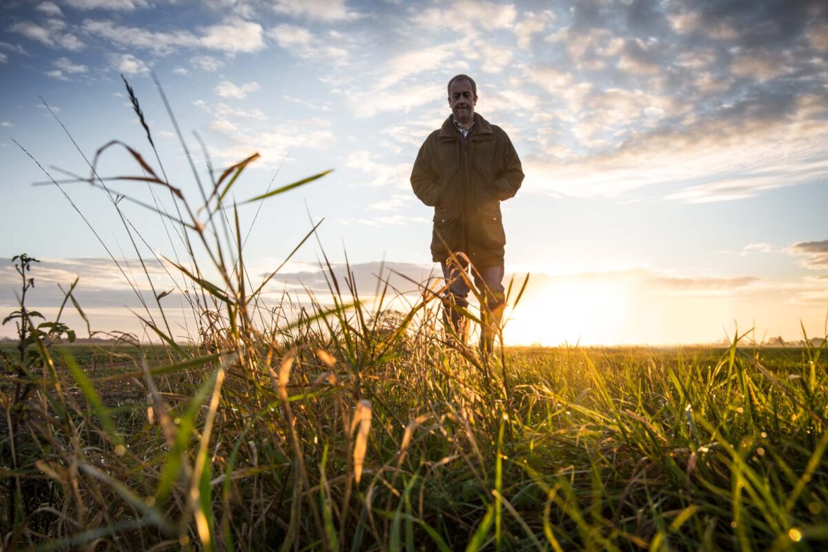 Farmcare - Creative Spark