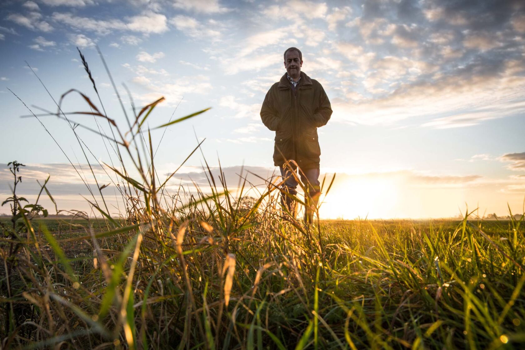 Farmcare - Creative Spark